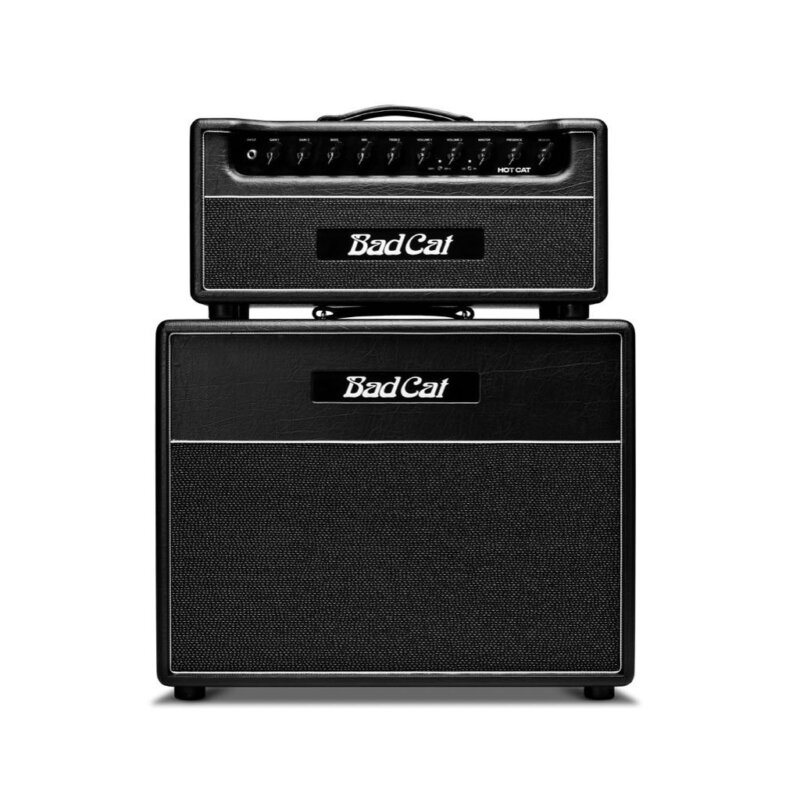 Bad Cat Hot Cat 45W All-Tube Guitar Amp Head & Hot Cat 112 Speaker Cab ...